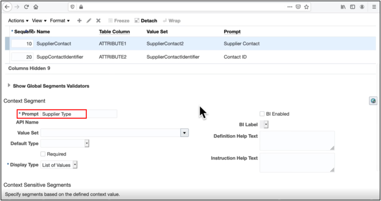 Set Up Descriptive Flex Fields: Payments – Portal | OracleErpGuide.com