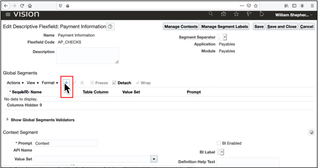 Set Up Descriptive Flex Fields: Payments – Portal | OracleErpGuide.com