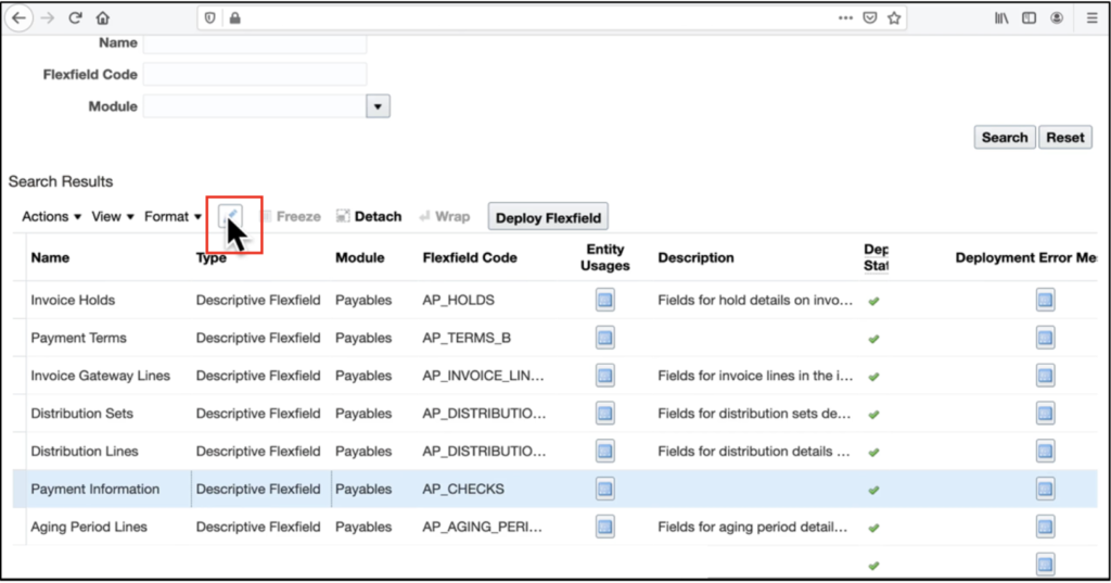 Set Up Descriptive Flex Fields: Payments – Portal | OracleErpGuide.com