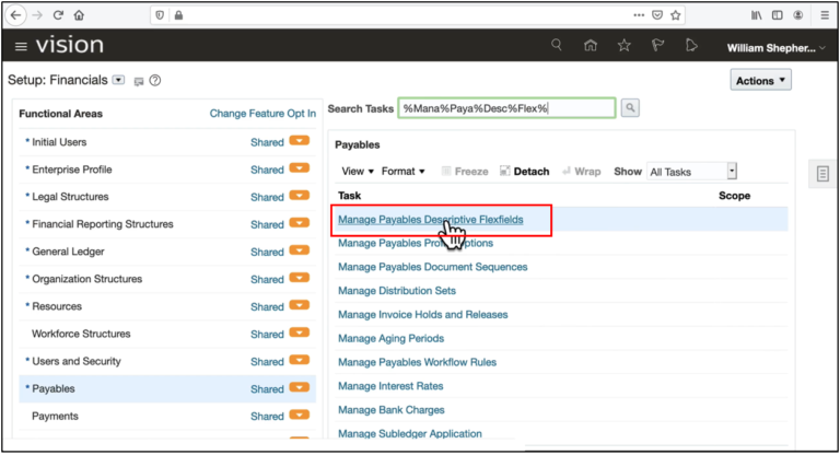 Set Up Descriptive Flex Fields: Payments – Portal | OracleErpGuide.com