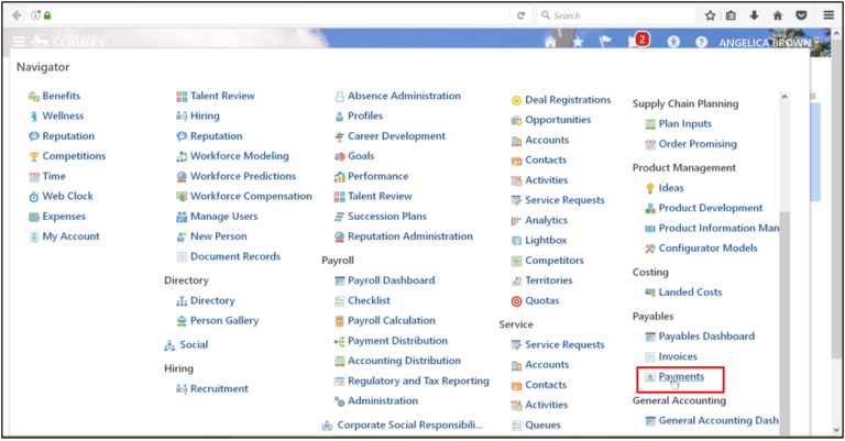 Master the Oracle Fusion Payables: A Complete Guide to the Automated ...