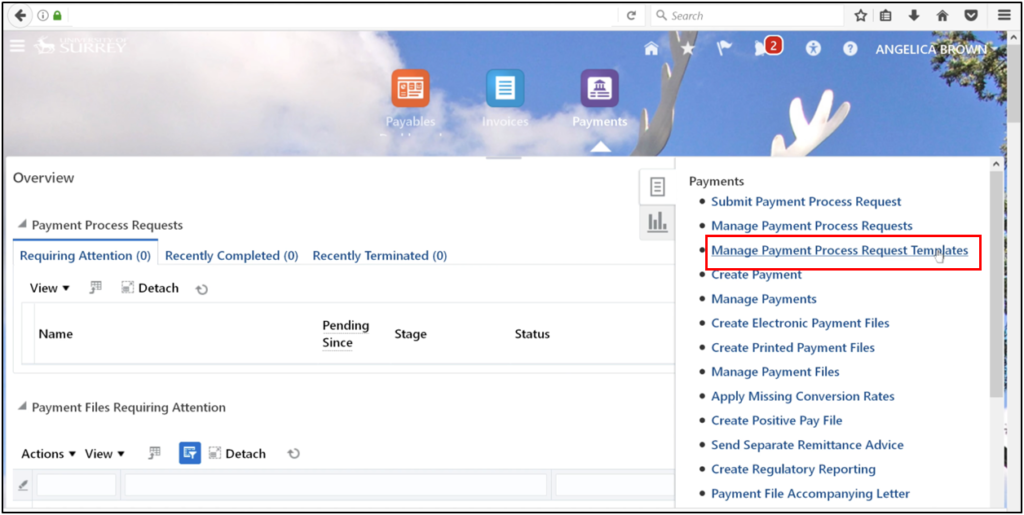 Master the Oracle Fusion Payables: A Complete Guide to the Automated ...