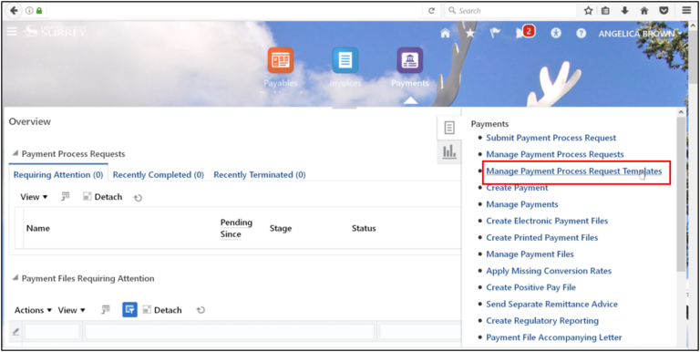 Master the Oracle Fusion Payables: A Complete Guide to the Automated ...